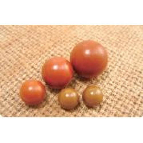 PTFE (Teflon) Plastic Ball Supply In Malaysia